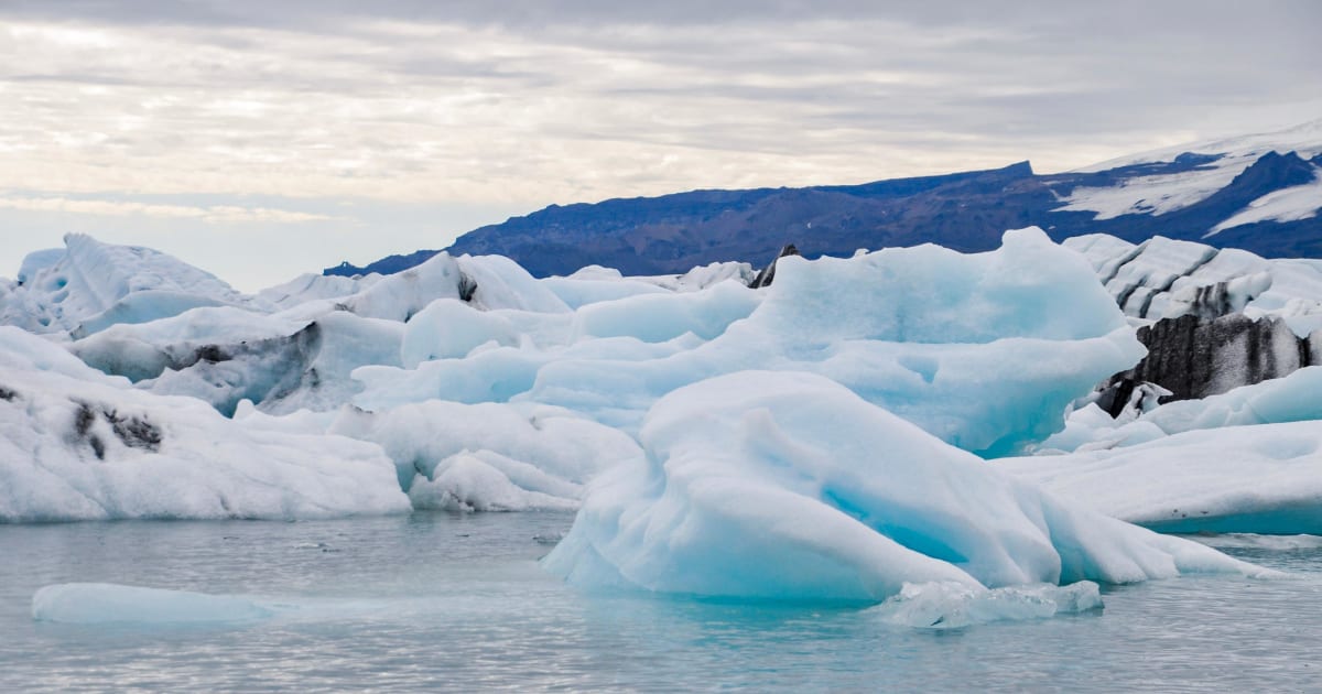 Polar Ecosystem Protect Delicate Polar Ecosystems By Mapping