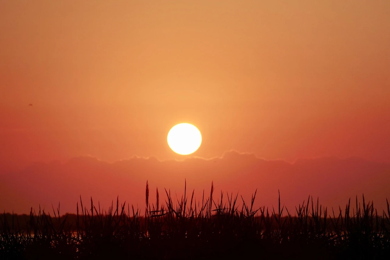 The Golden Hour: A Radiant Legacy of Light, Art, and Inspiration - Revlox
