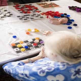 Boyle Bingo | Bingo NI | Home