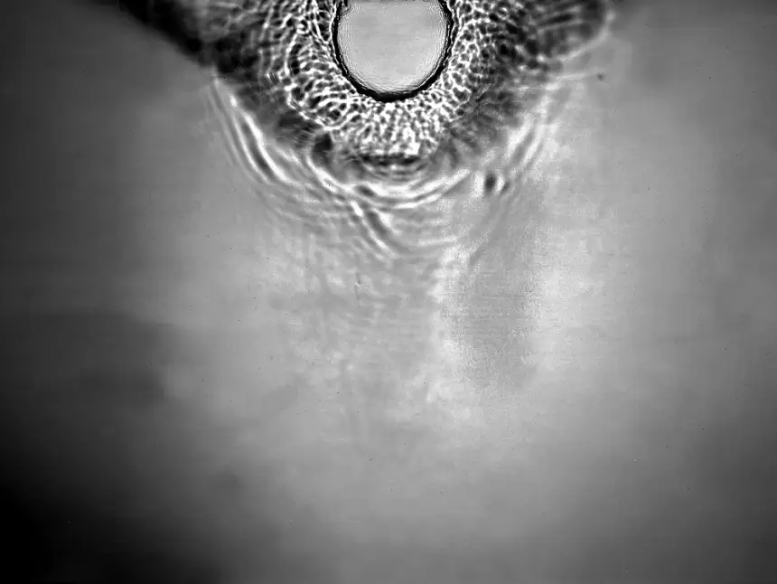 Quentin Orhant - Écologeek | Maker | Développeur - Photogrammes de l'eau