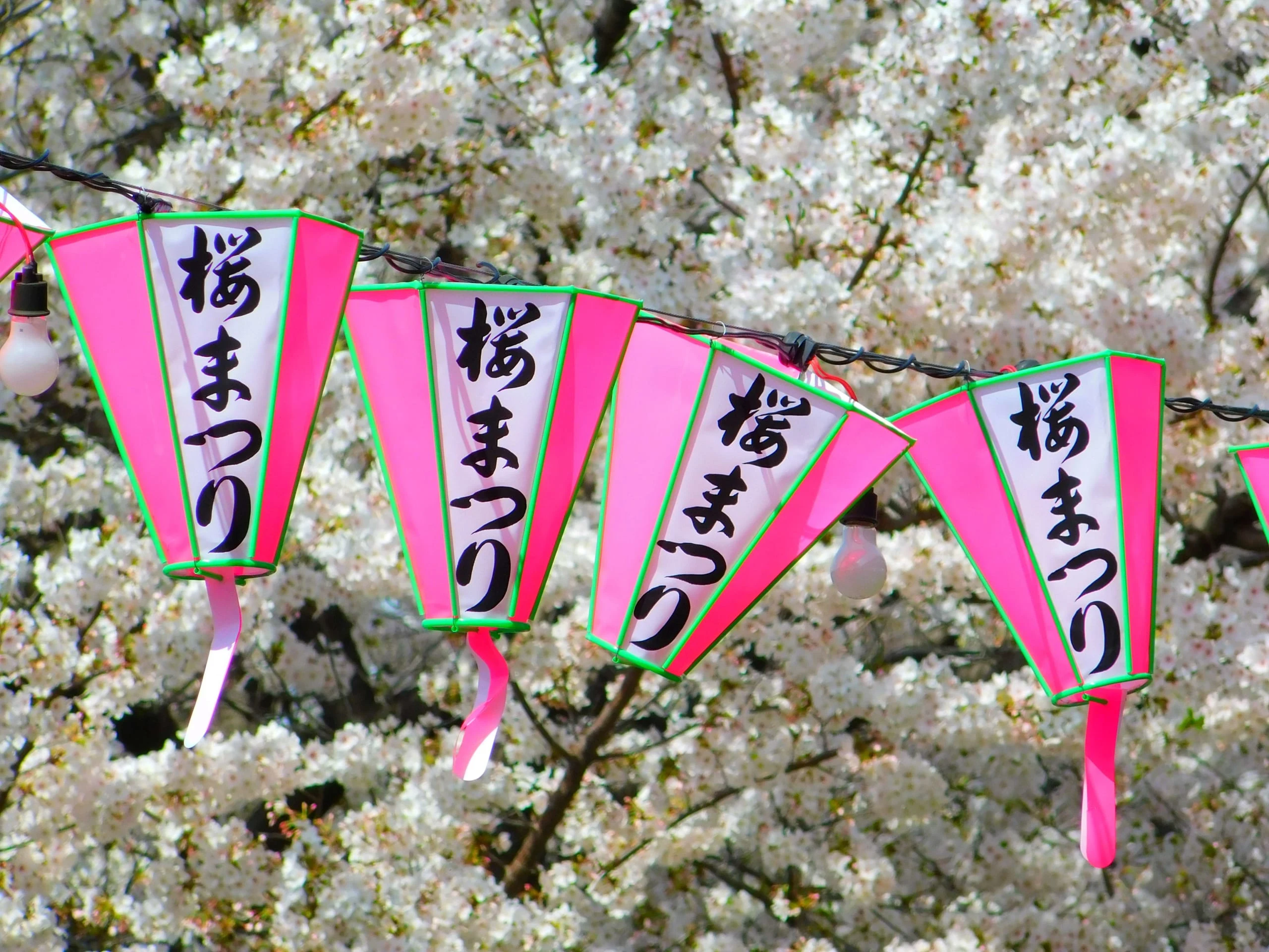 Best Events Japan March 2026