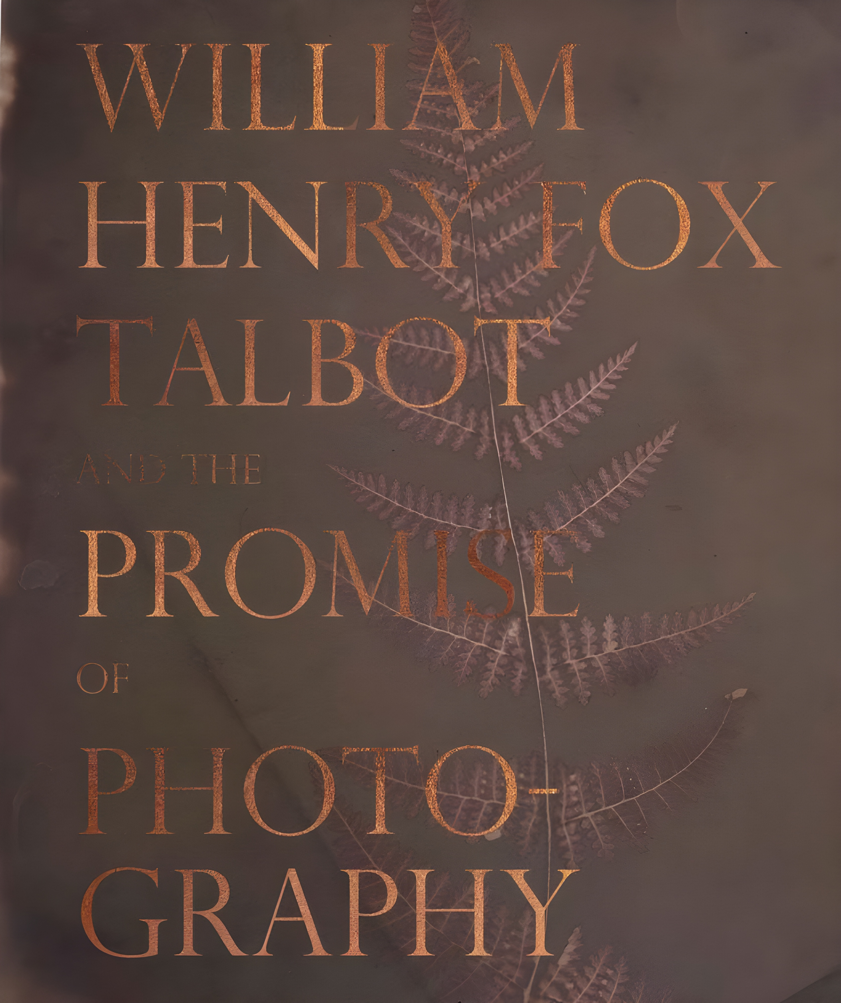 William Henry Fox Talbot and the Promise of Photography