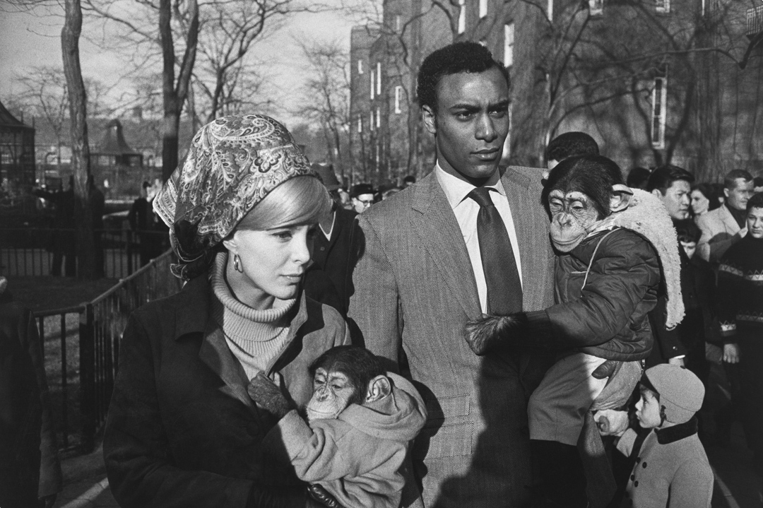 "The Animals", Garry Winogrand (1928-1984)