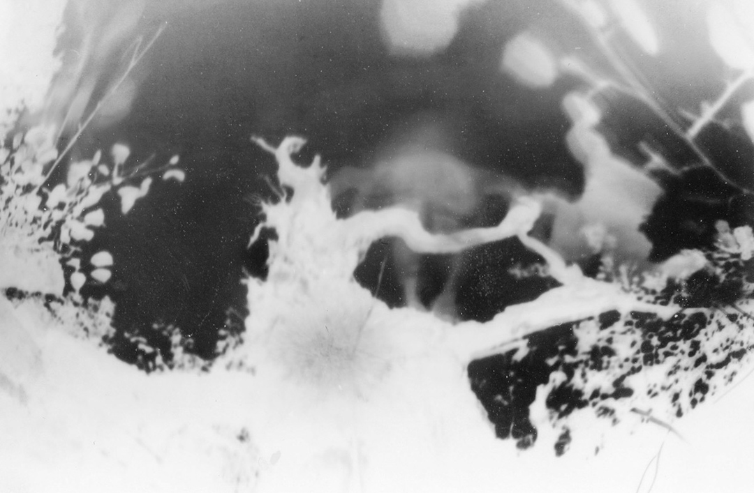 "Mankind", Peter Wiklund (1967) | PhotoAnthology