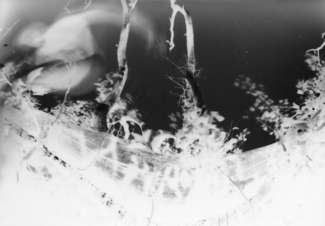 "Mankind", Peter Wiklund (1967)