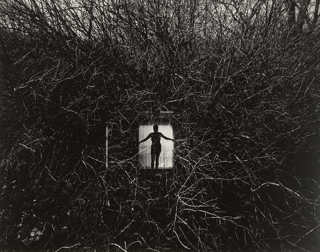 "Eleanor", Harry Callahan (1912-1999)