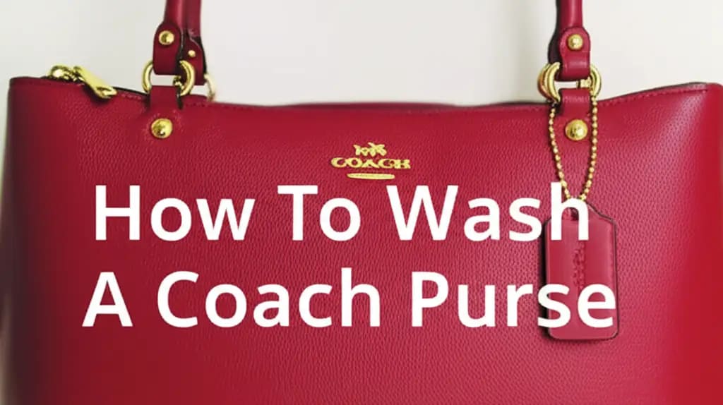 How To Wash A Coach Purse — Be A Cleaner
