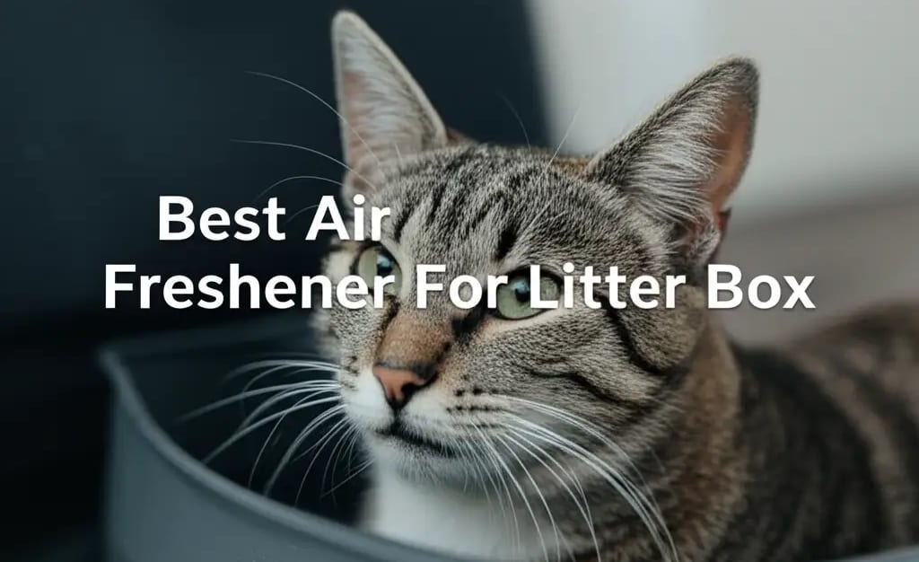10 Best Air Freshener For Litter Box of 2026 — Be A Cleaner