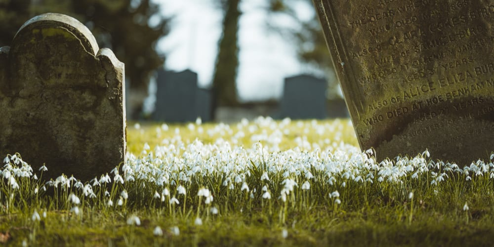 Ein Grab in Österreich auflösen - das müssen Sie beachten!