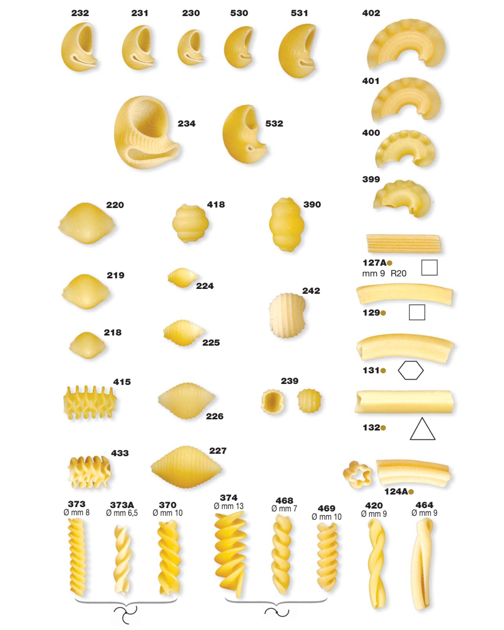 Monferrina trafile in bronzo speciali Dolly e gruppo pressa Nina PNuova ...