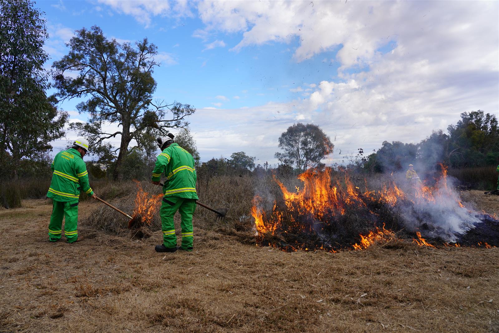 CFA & Traditional Owners – QuokkaDaily