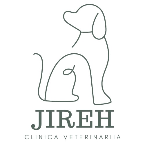 GitHub - Angel07fco/proyecto-jireh