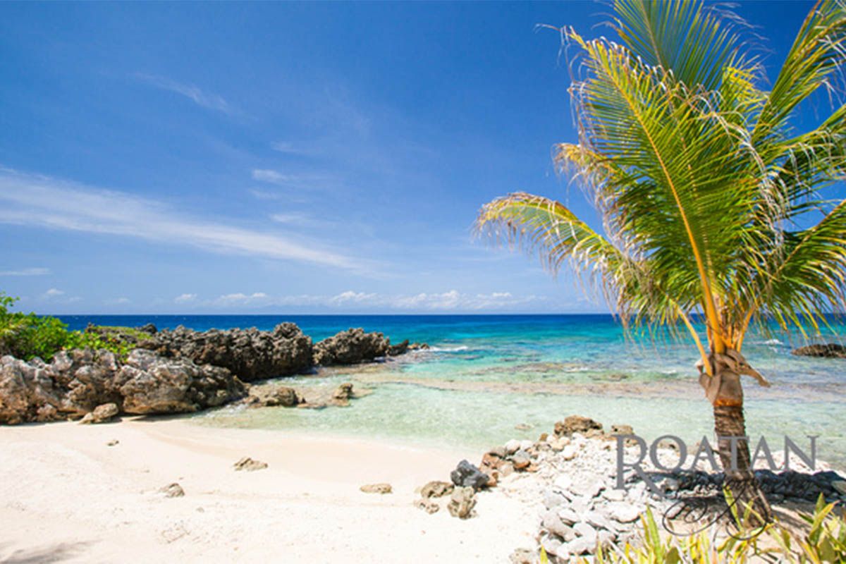 The Meridian | Roatan Events