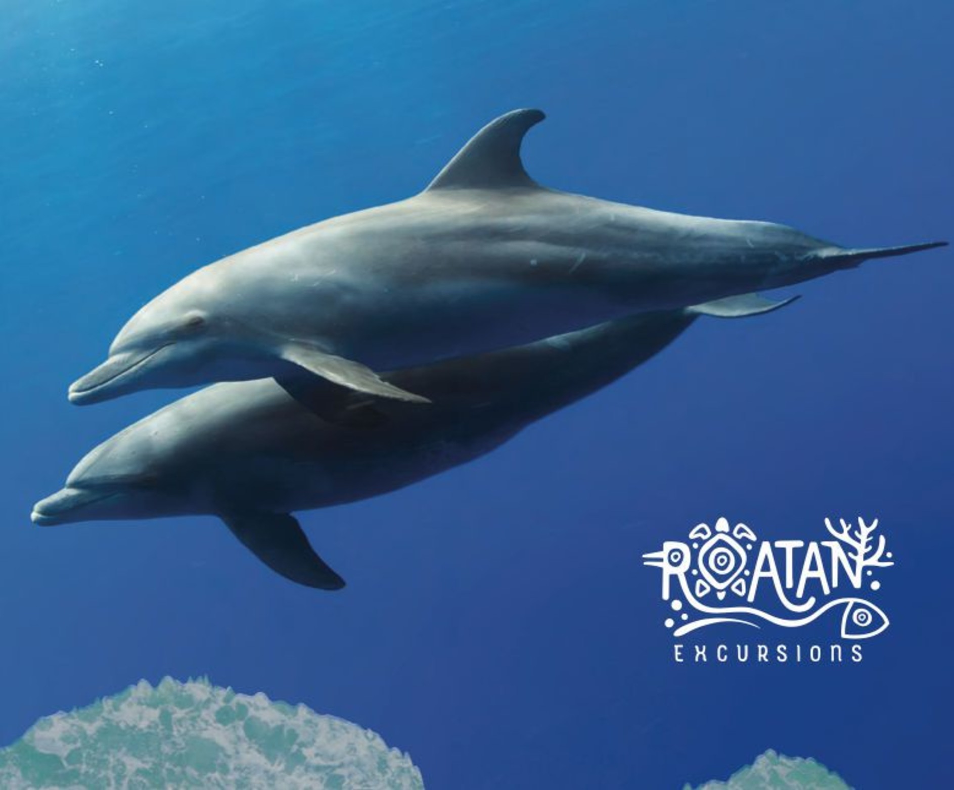 Roatan Excursions