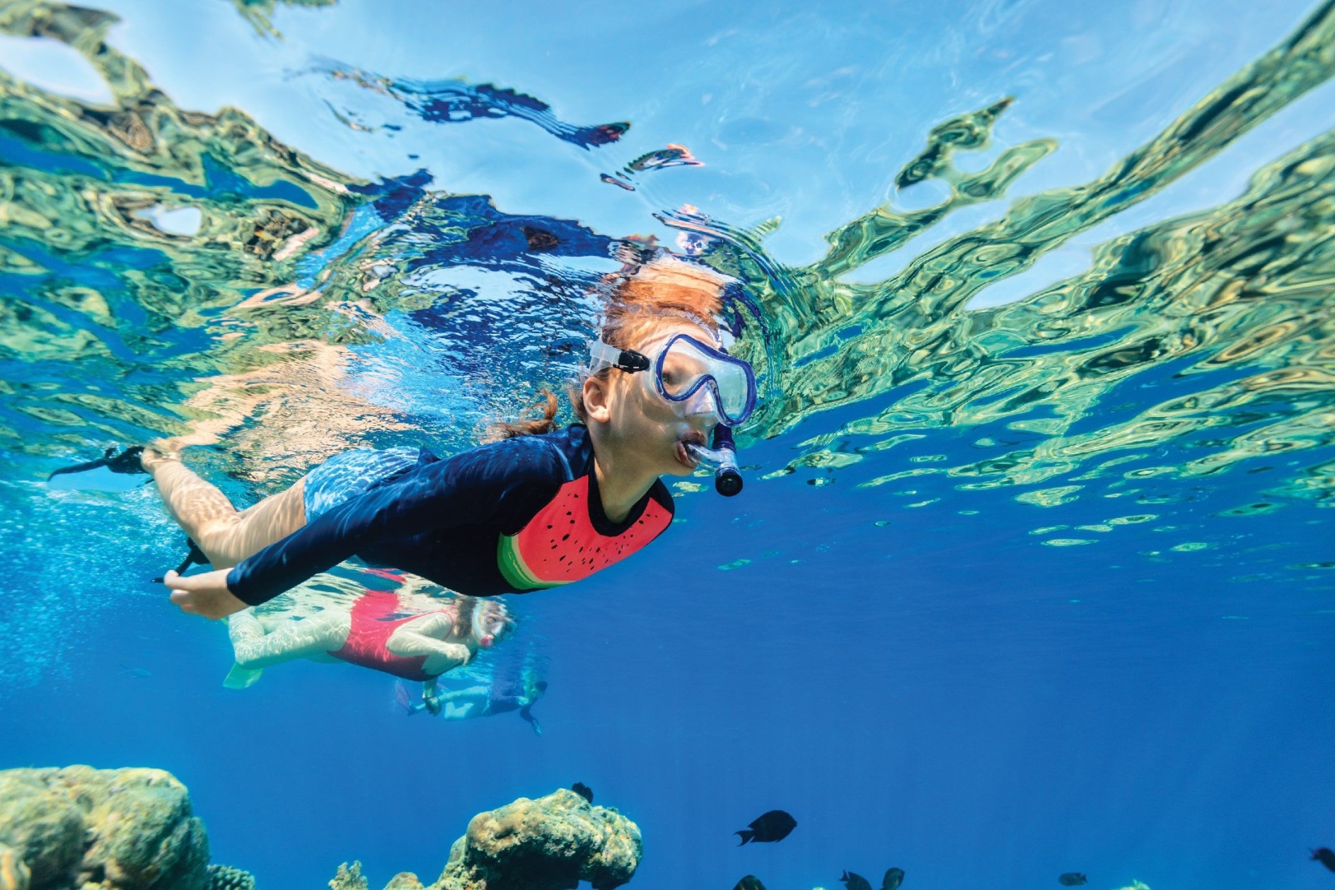 Roatan Excursions | Unforgettable Caribbean Tours & Activities