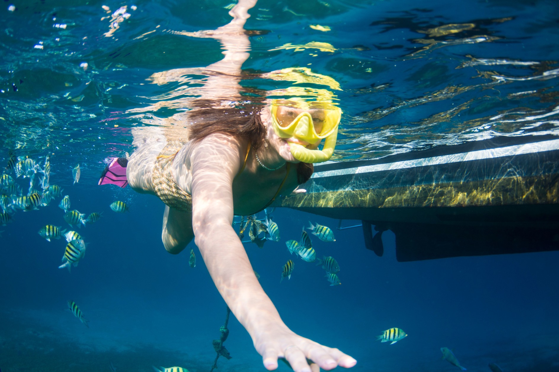 Roatan Excursions | Unforgettable Caribbean Tours & Activities