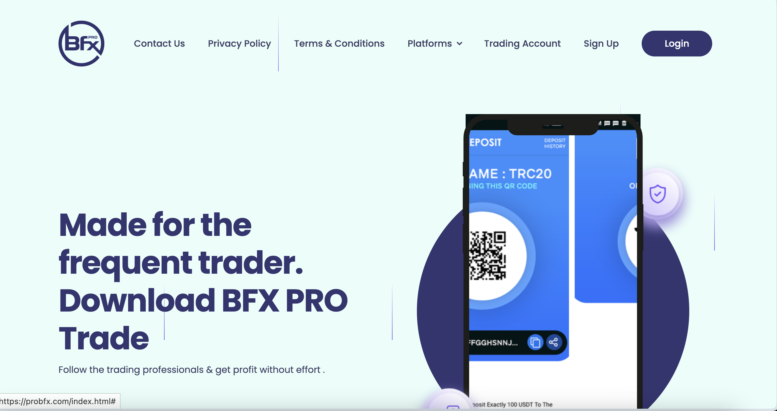 Is BFX PRO LIMITED Legit? Real User Insights | AppraisalFox