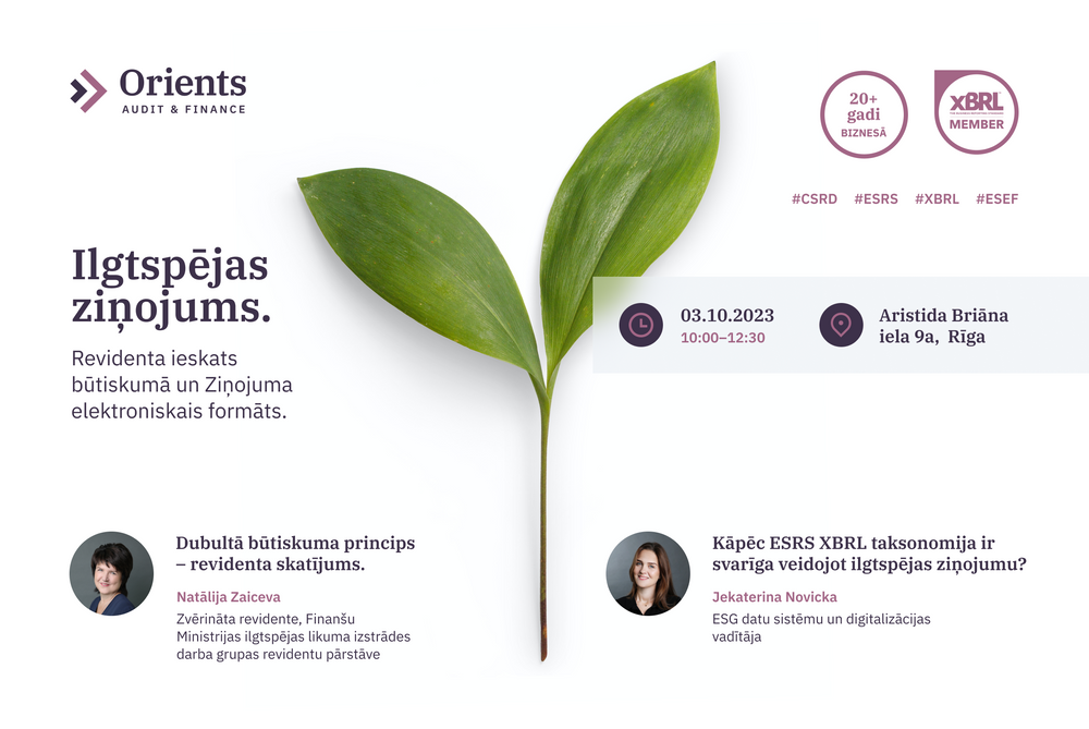 Ilgtspējas ziņojums. Revidenta ieskats būtiskumā un ziņojuma ...