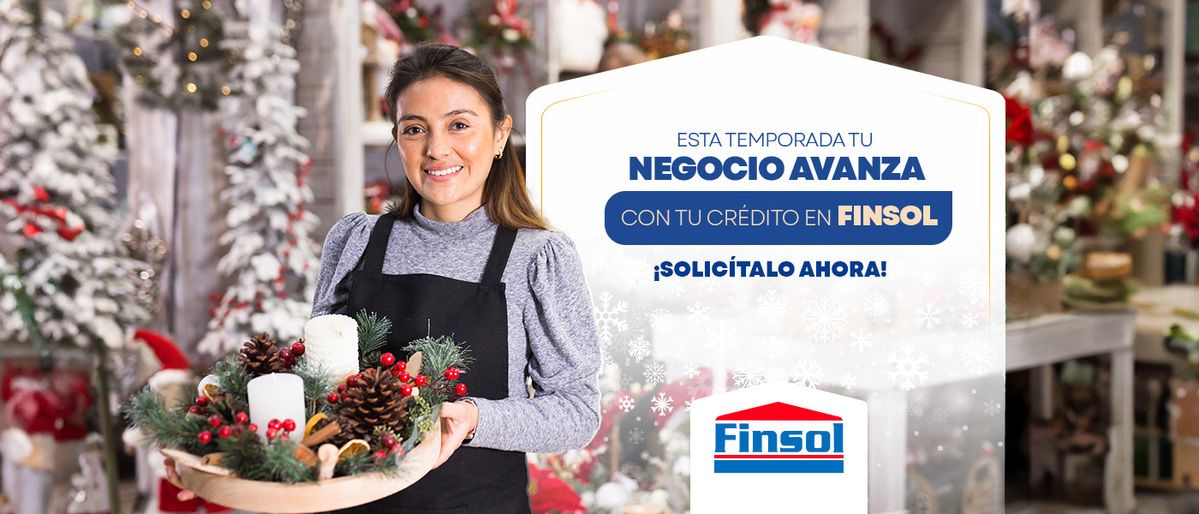 Finsol - Soluciones Financieras Ágiles a su Medida