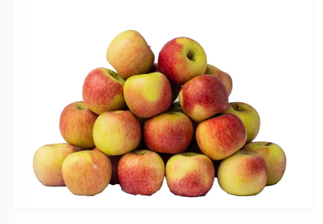 Suruhub | Online Shopping For All For Your Food Products, delivered to ...