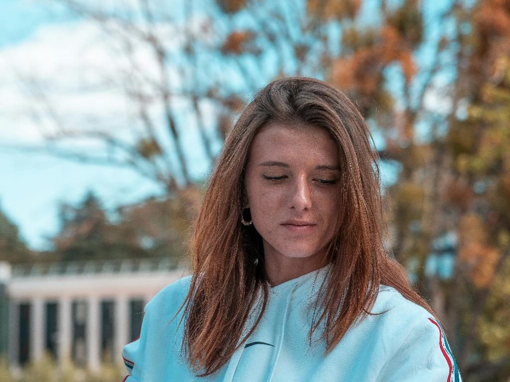 Liesel - Travel Companion Hub