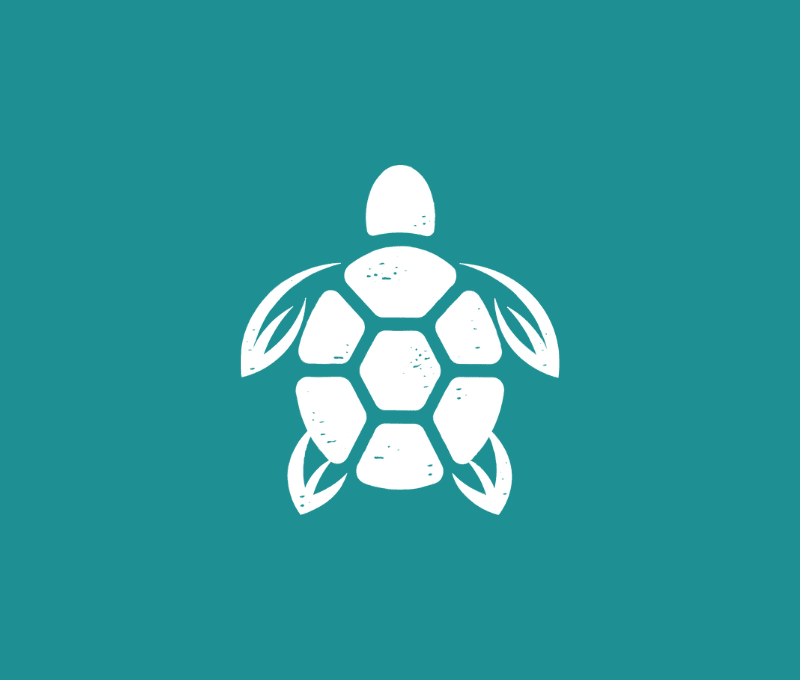 Purple Turtle Co's Impact with Greenspark