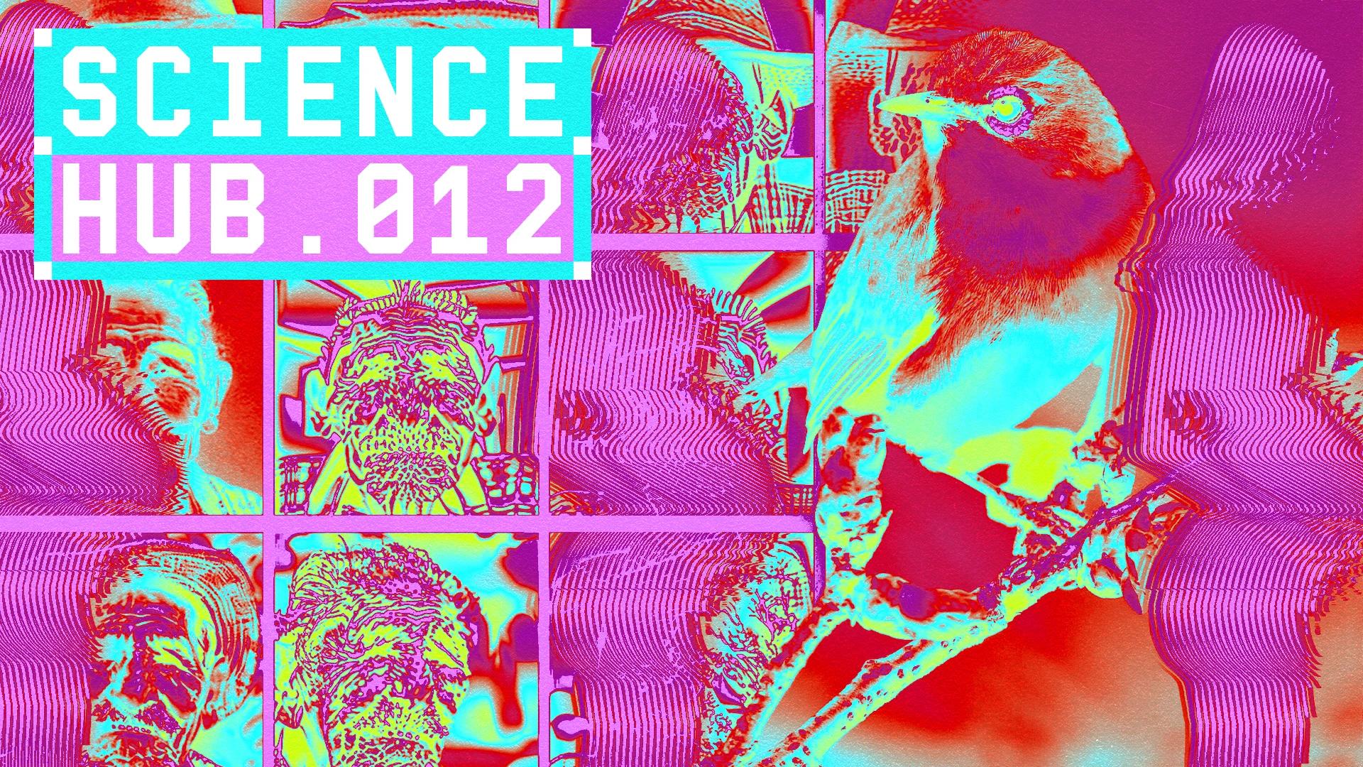 Wired Science Hub #12 | WIRED