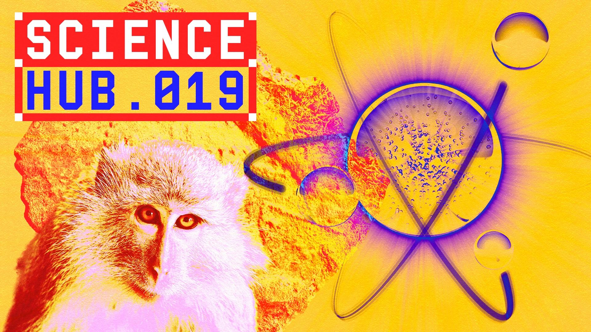 WIRED SCIENCE HUB #19 | WIRED