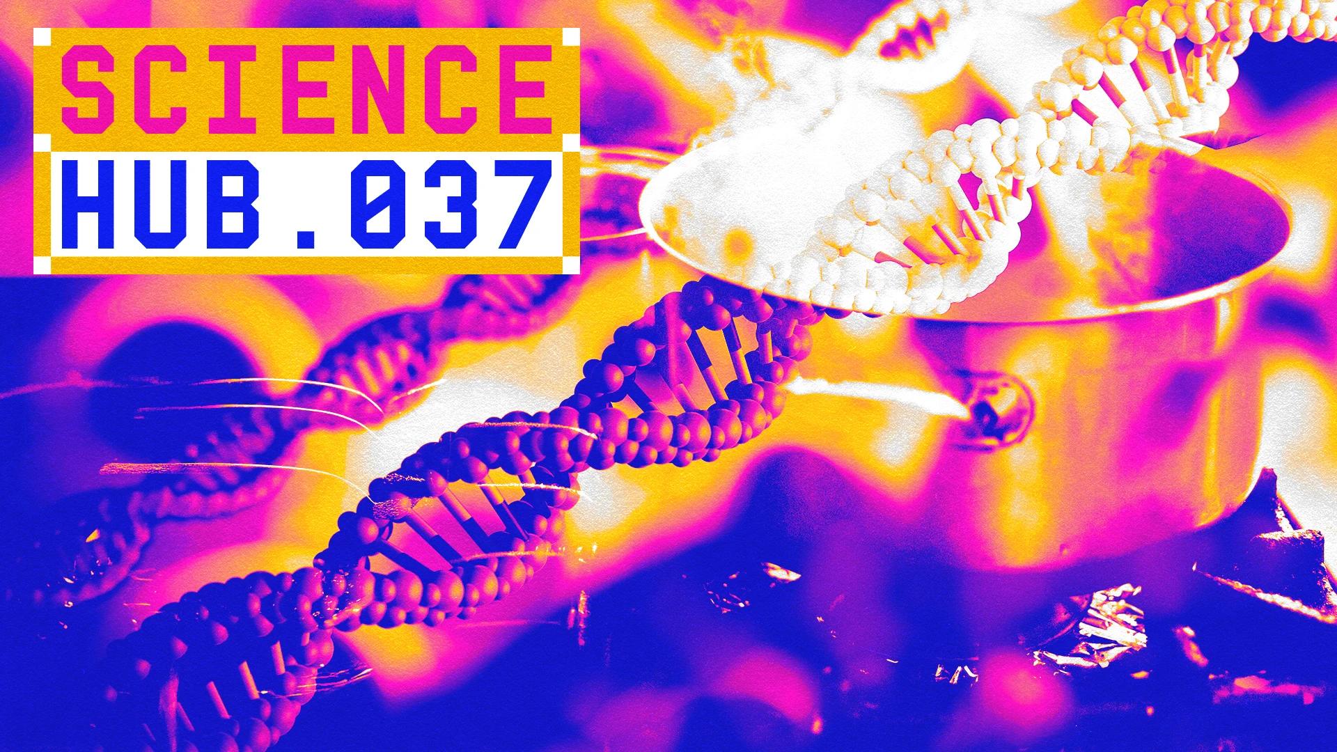 WIRED CZ & SK - to nejlepší ze světa technologií | WIRED