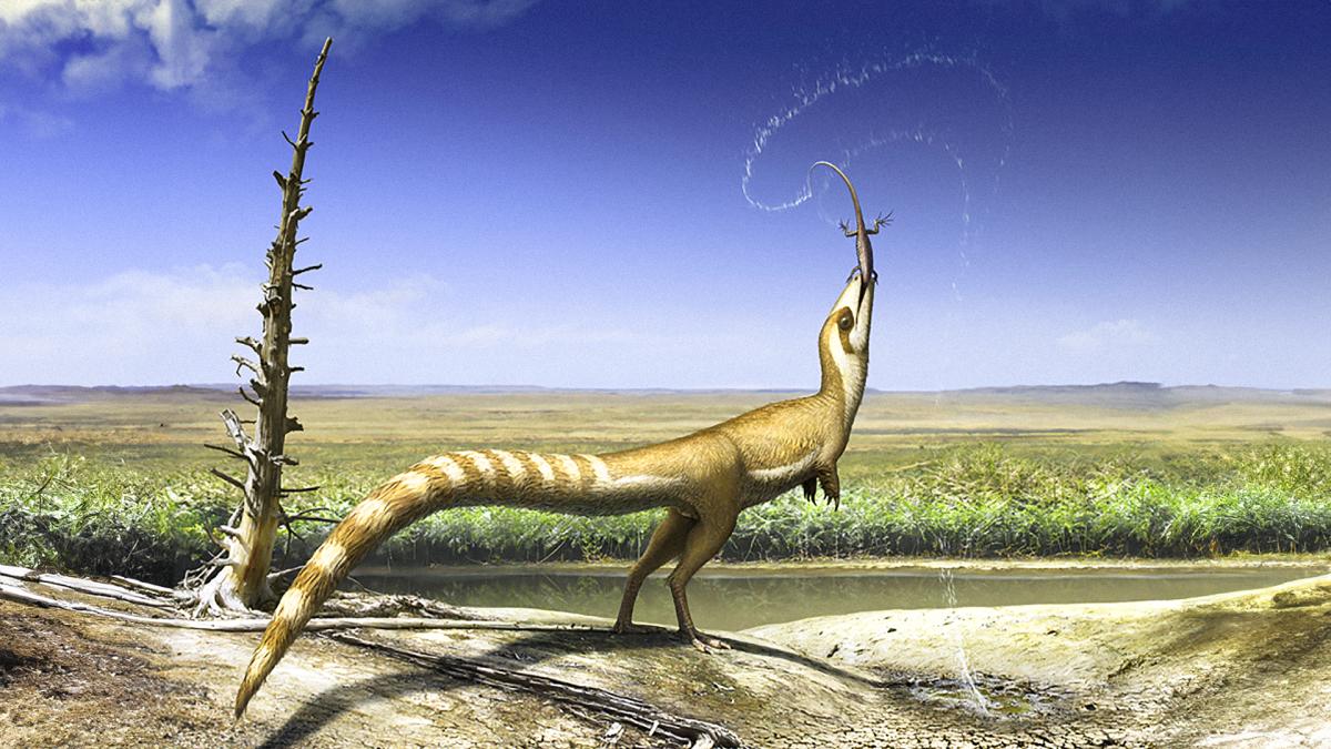 Když po světě chodili dinosauří zrzci | WIRED