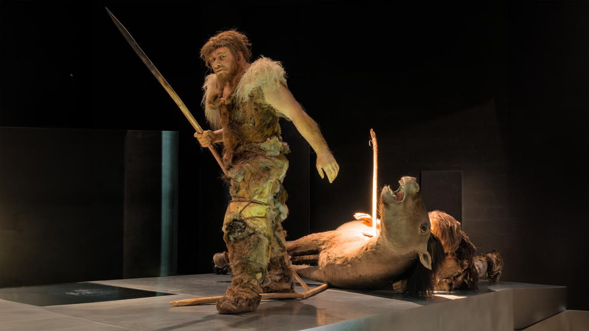 Záhada: Proč vymřeli neandertálci, a ne naši předkové? | WIRED