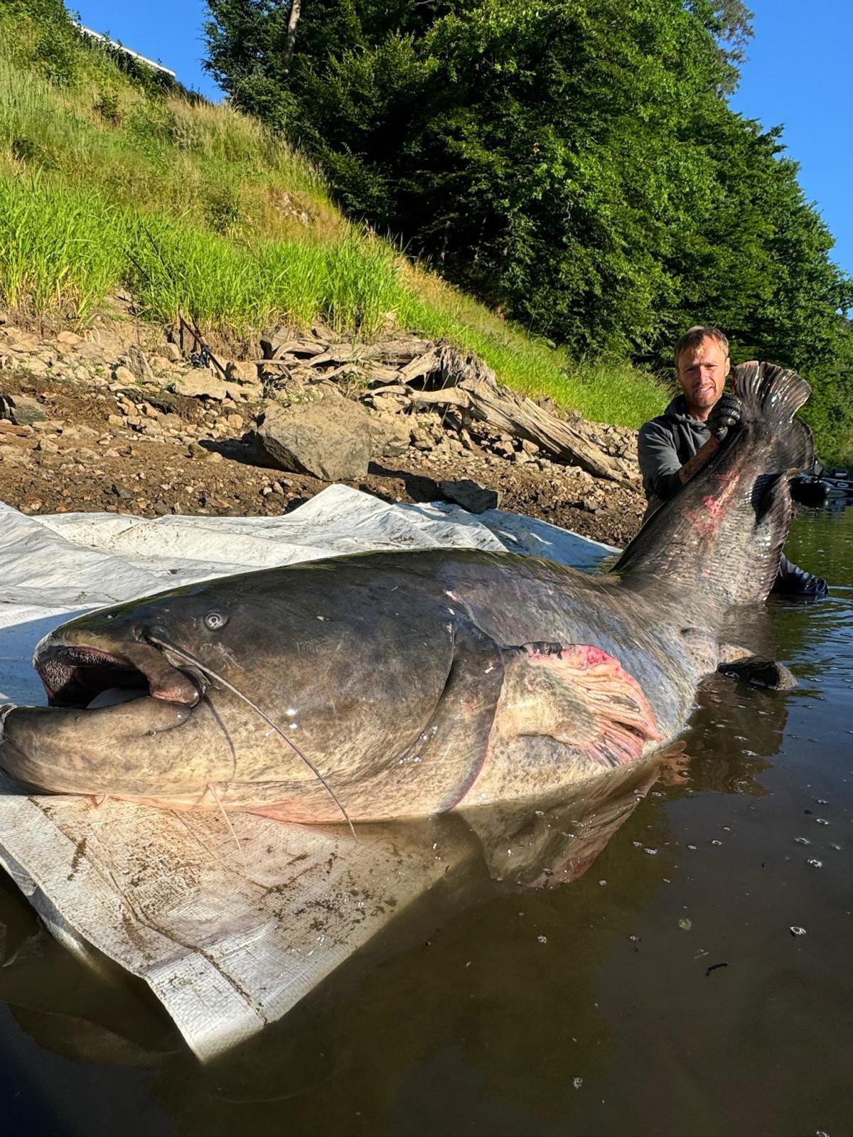 Jakub Vágner ulovil na Vltavě gigantického sumce | WIRED