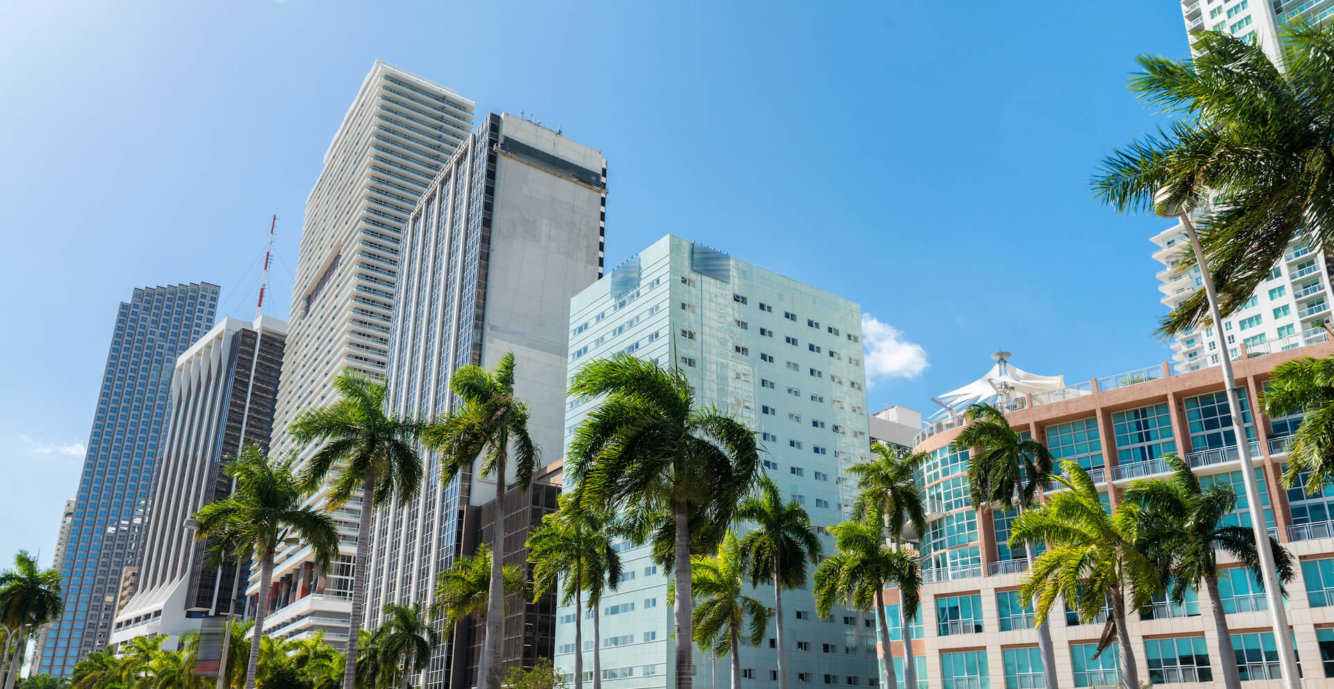 The 5 best neighborhoods in Miami | Blueground