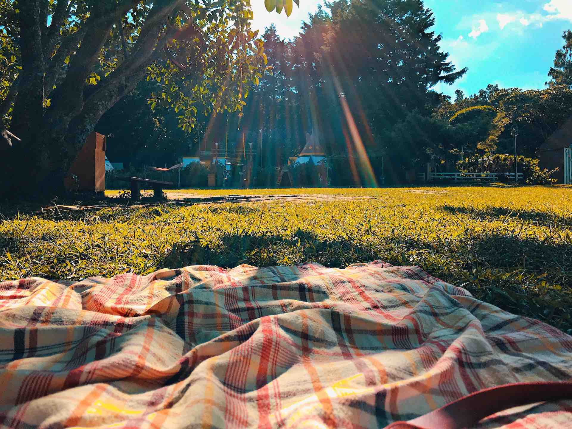 10 ways to spend Summer Fridays | Blueground