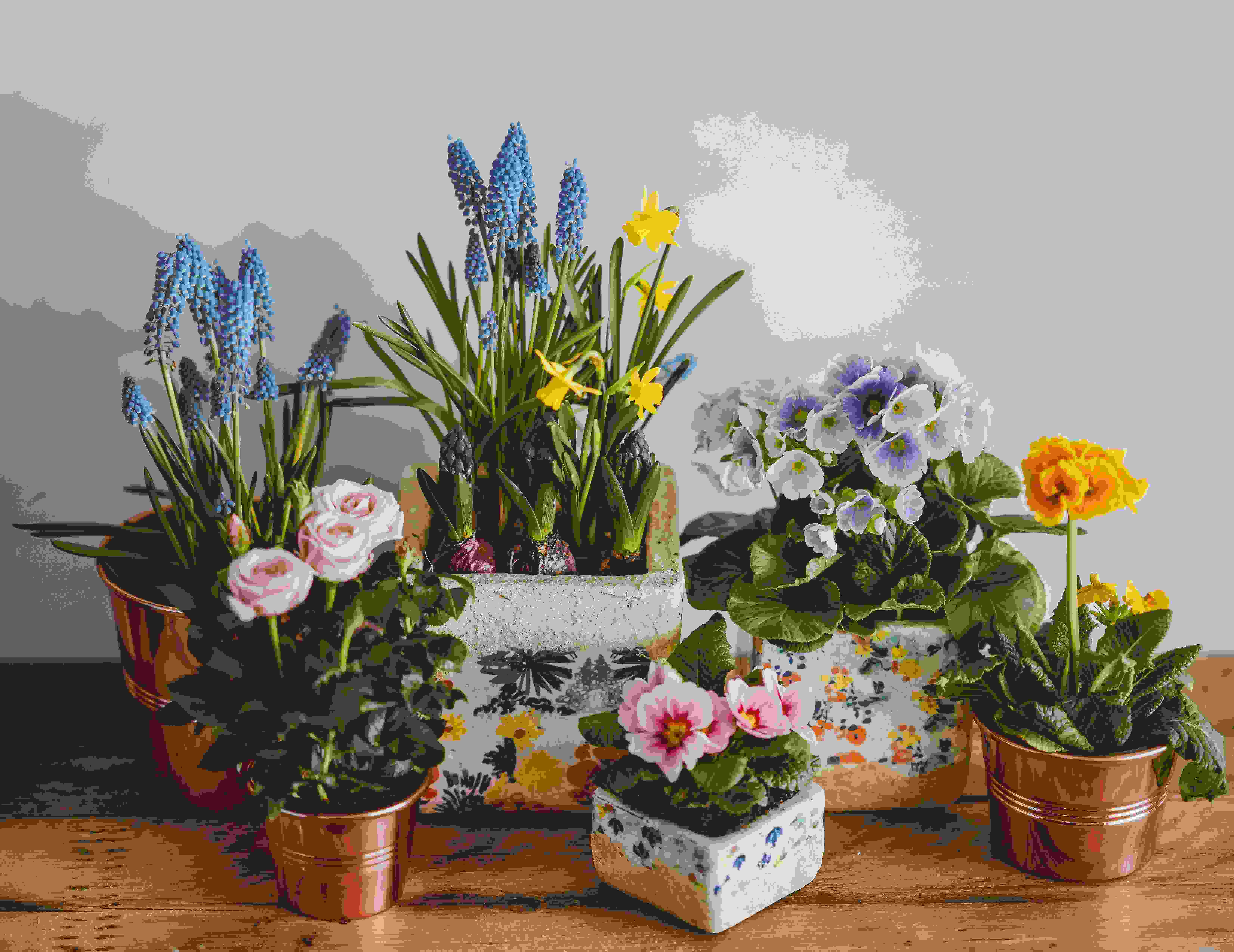 8 easy ways to decorate your home for spring | Blueground