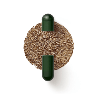 Seed • DS-01® Daily Synbiotic (Probiotics + Prebiotics)