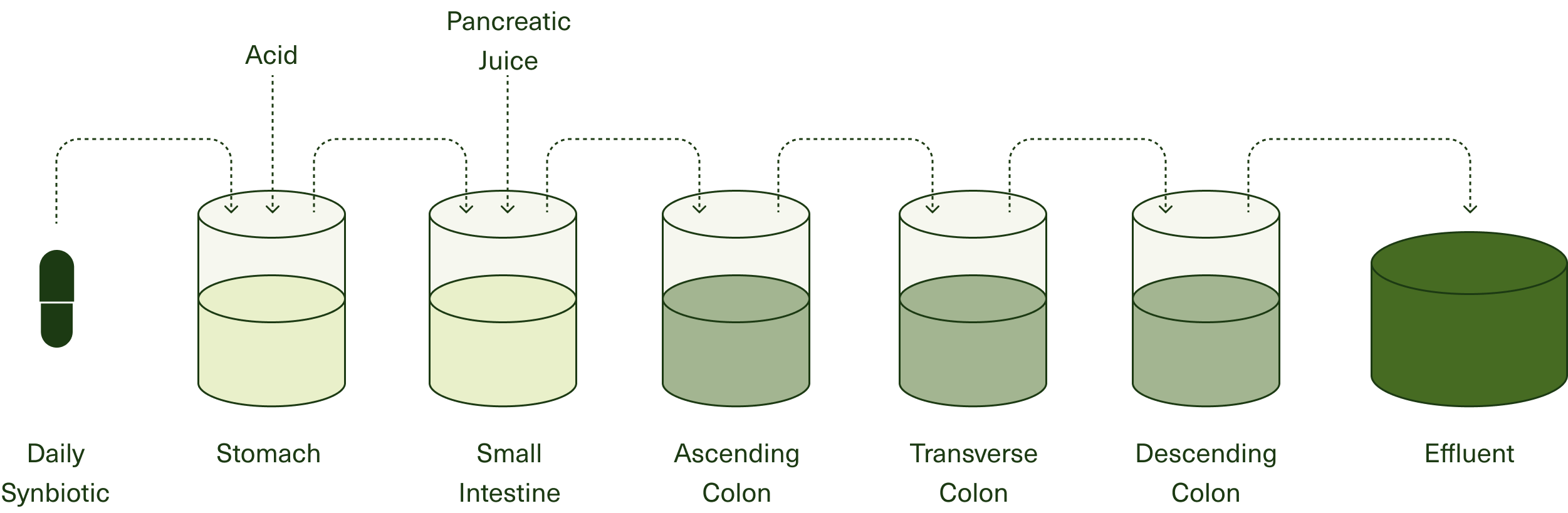 Seed • Our Science