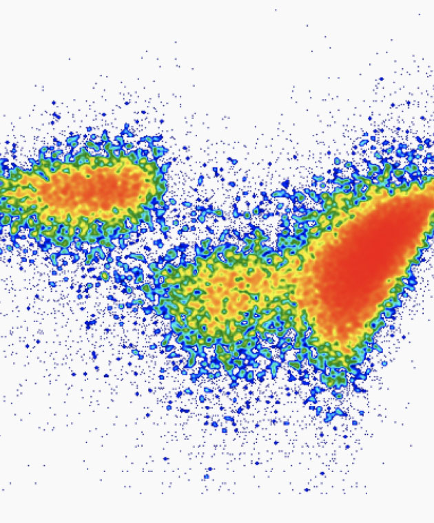 Seed • Our Science