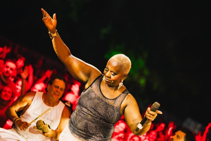 Samba da Rosa - Galeria janeiro