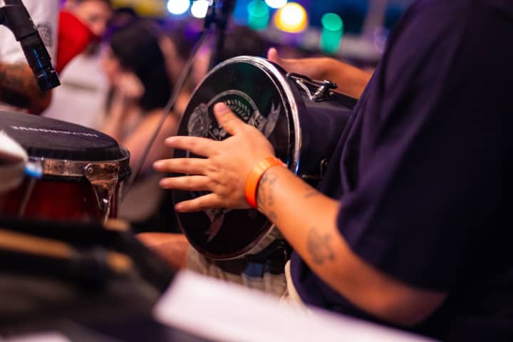 Samba da Rosa - Galeria janeiro