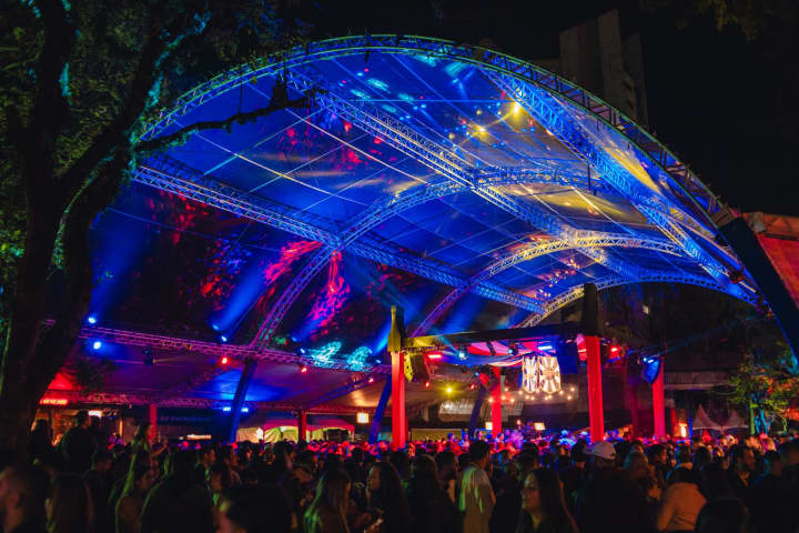 Samba da Rosa - Galeria agosto