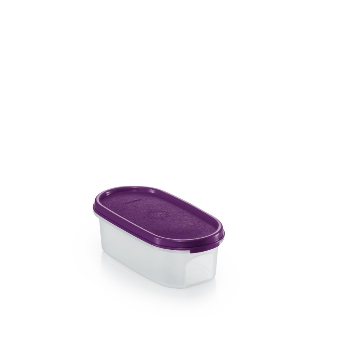 Modular Mates Oval I | Tupperware Plus