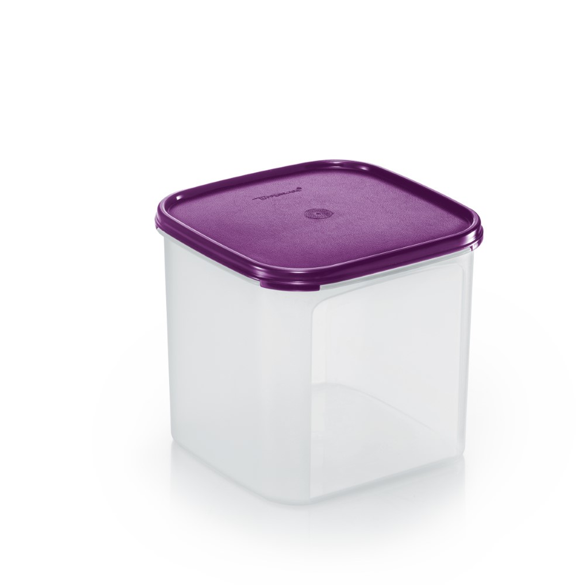 Modular Mates Square III | Tupperware Plus