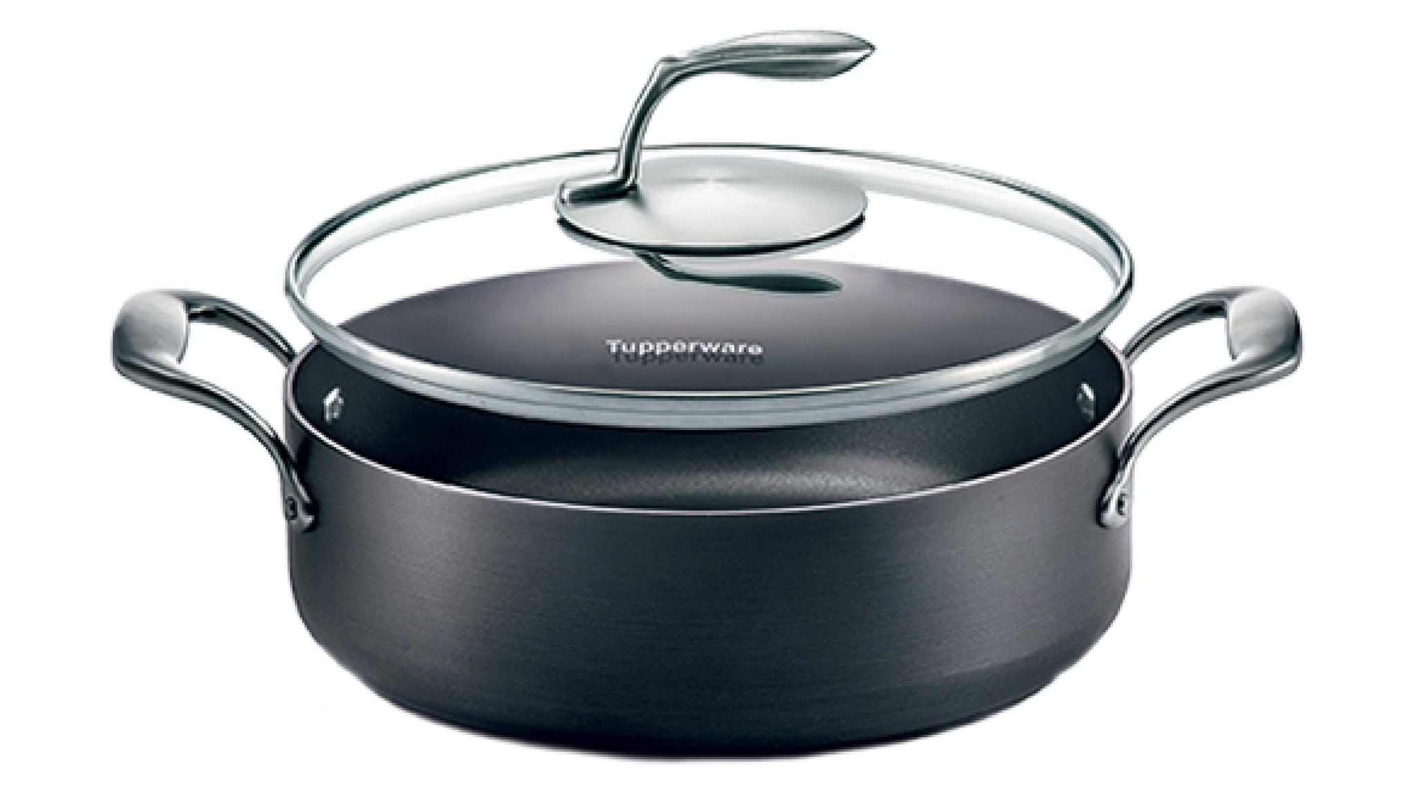 Casserole Pot (1) 4.1L | Tupperware Plus
