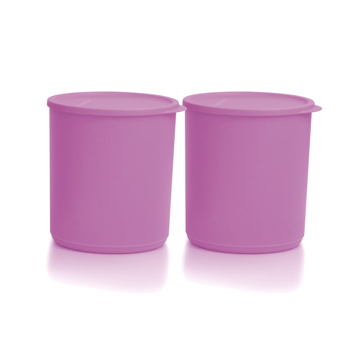 Summer Fresh Round Large (2) 3.1L | Tupperware Plus
