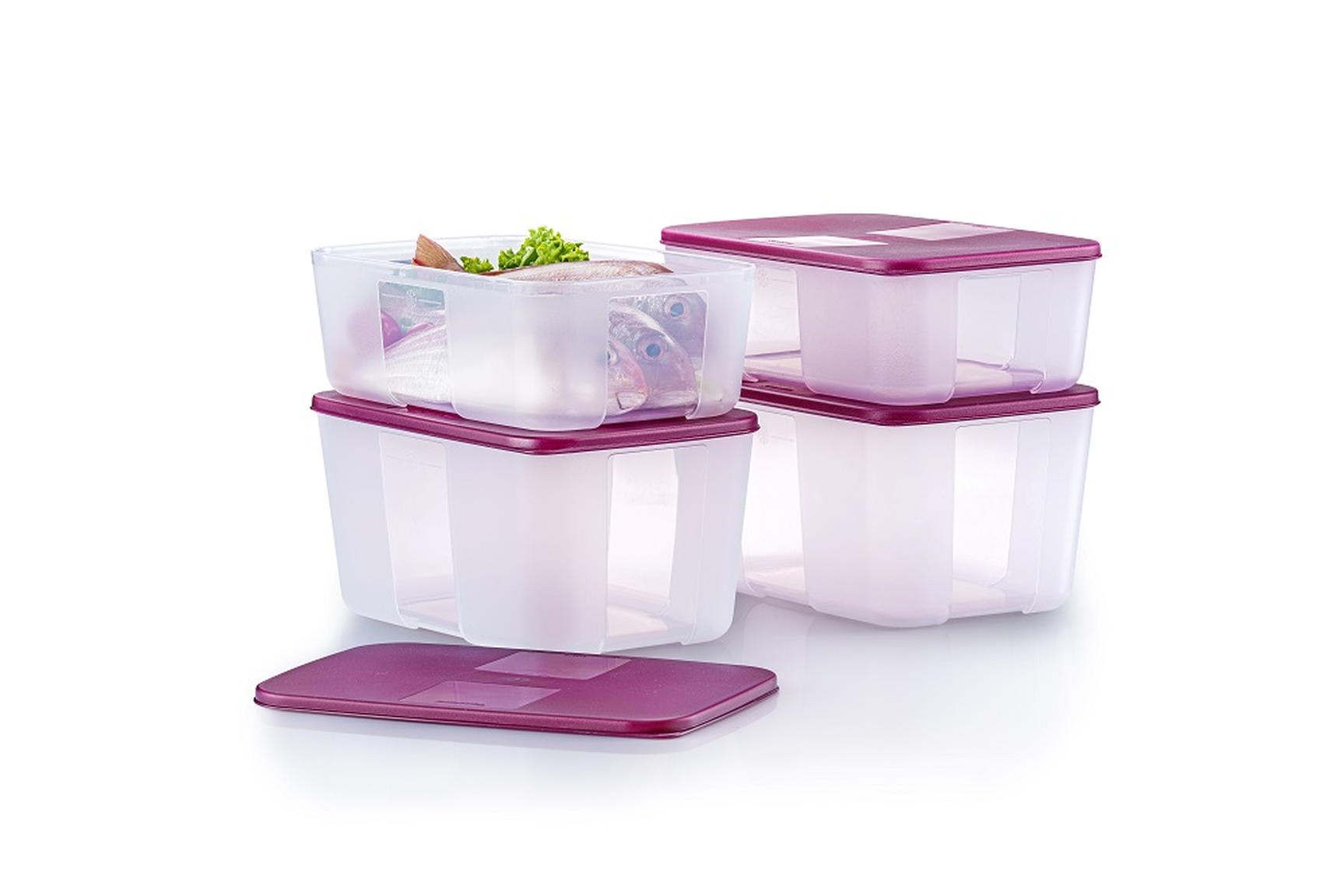 FreezerMate Medium Set | Tupperware Plus