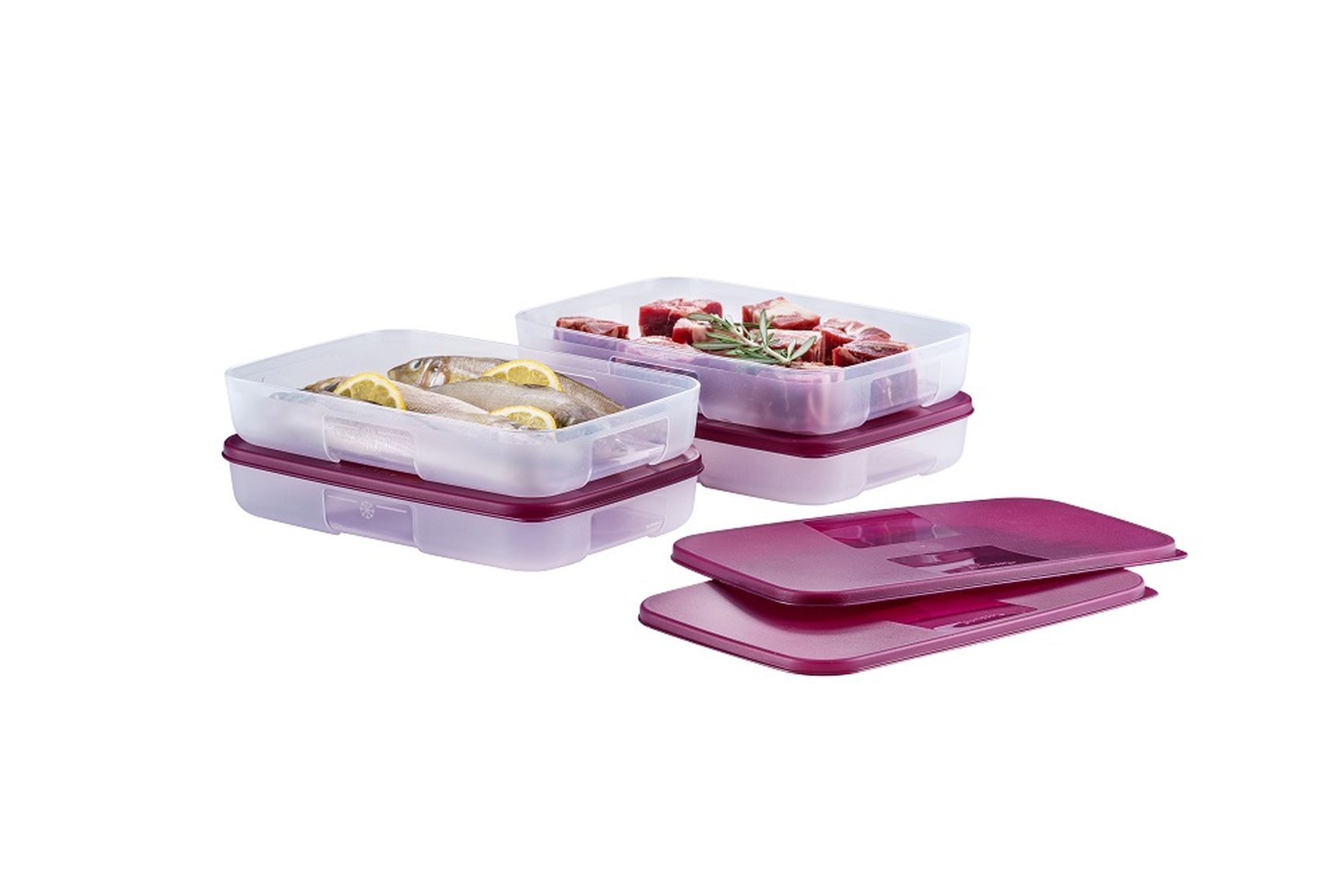 FreezerMate Medium I (4) 550ml (PWP) | Tupperware Plus