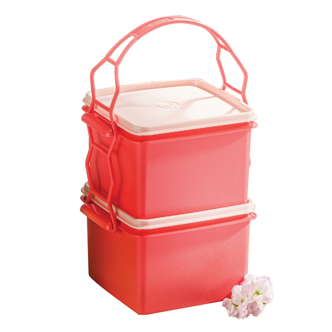 Double Deep with Cariolier (1) 1.7L each | Tupperware Plus