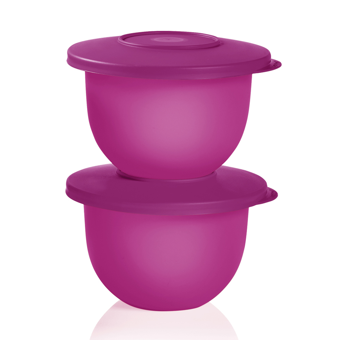 PWP: Expression Bowl (2) 550ml | Tupperware Plus