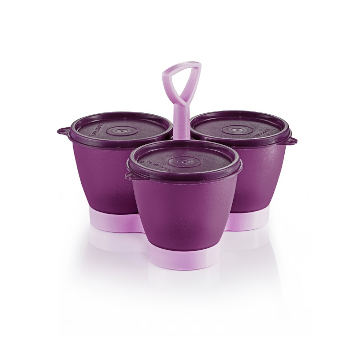 Blossom Condimate Set | Tupperware Plus